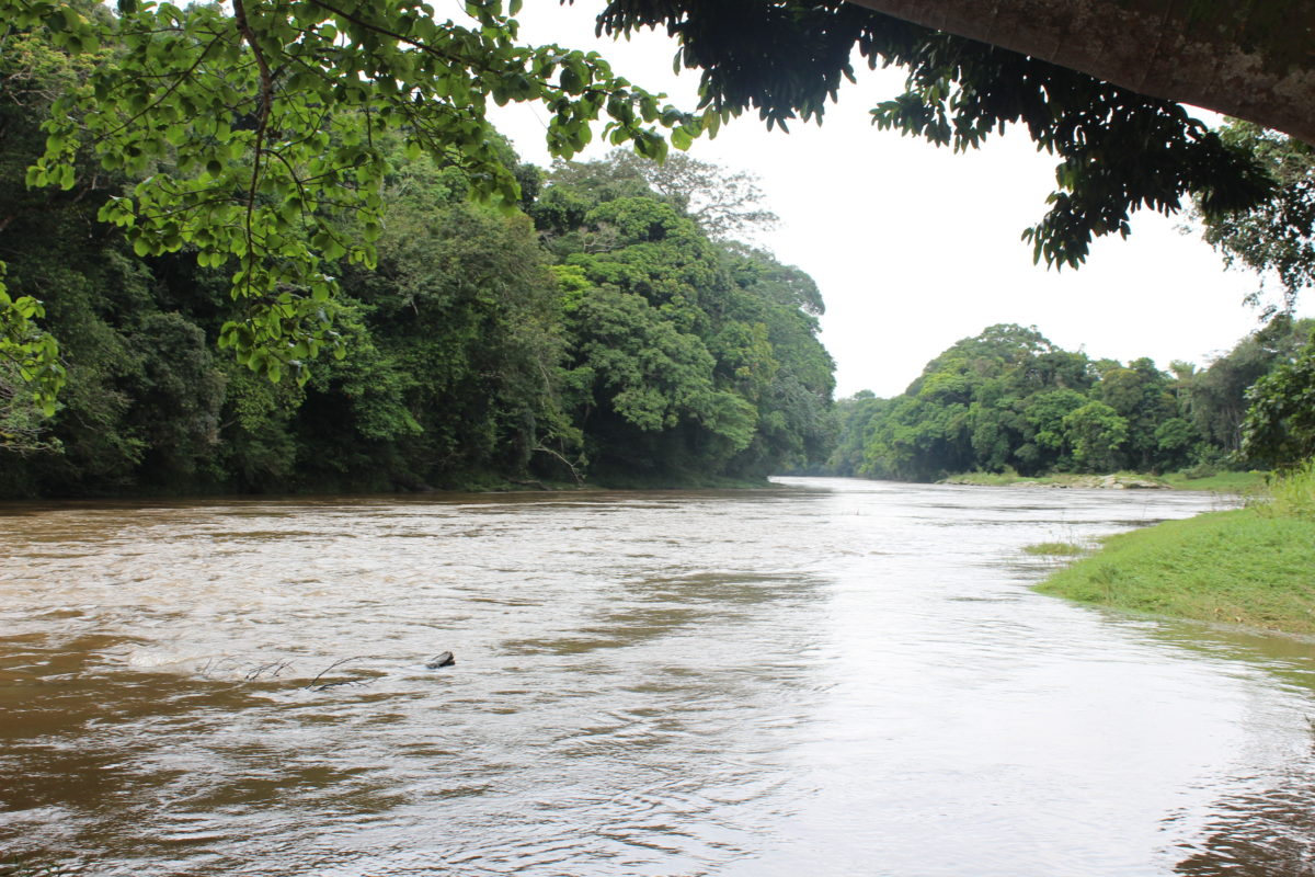 WALIKALE - Sensdelavie